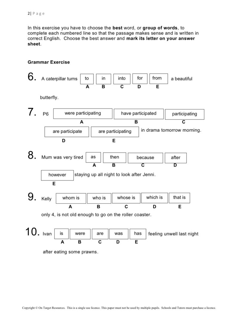 Transfer Test SEAG Style Practice Papers – Level 3 – On Target Resources