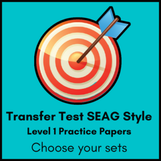 SEAG Transfer Test 2024 - On Target Resources
